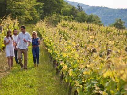 Vogue: Toskano, skloni se, evo Istre, Konavla, Pelješca | Business HTZ